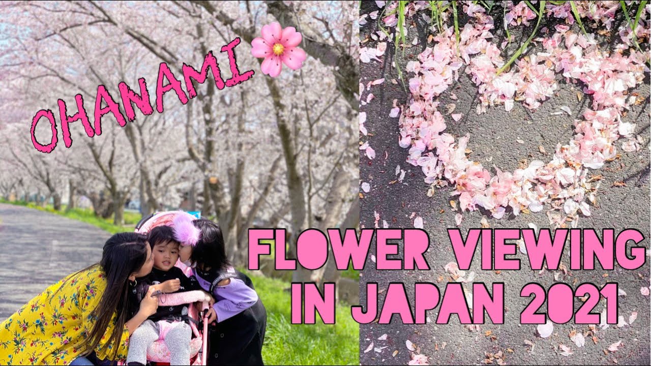 How to Enjoy Flower Viewing during Sakura Season | Ohanami in Japan ...