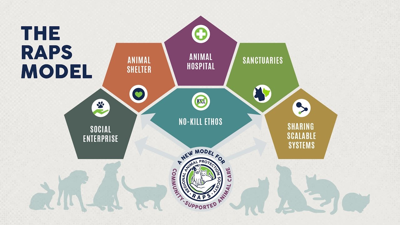 The RAPS Model - YouTube