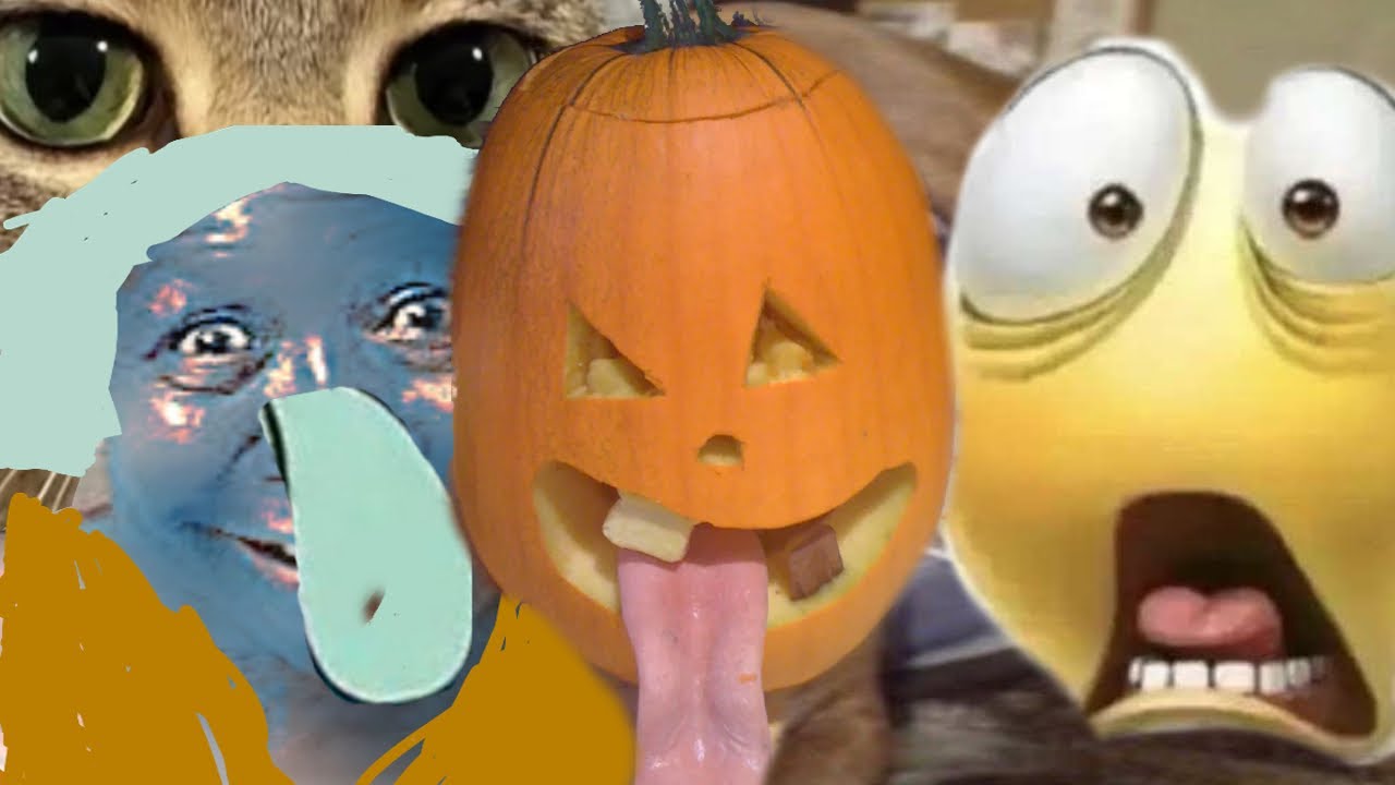 🔴HALLOWEINER 🎃🎃😜😜 - YouTube