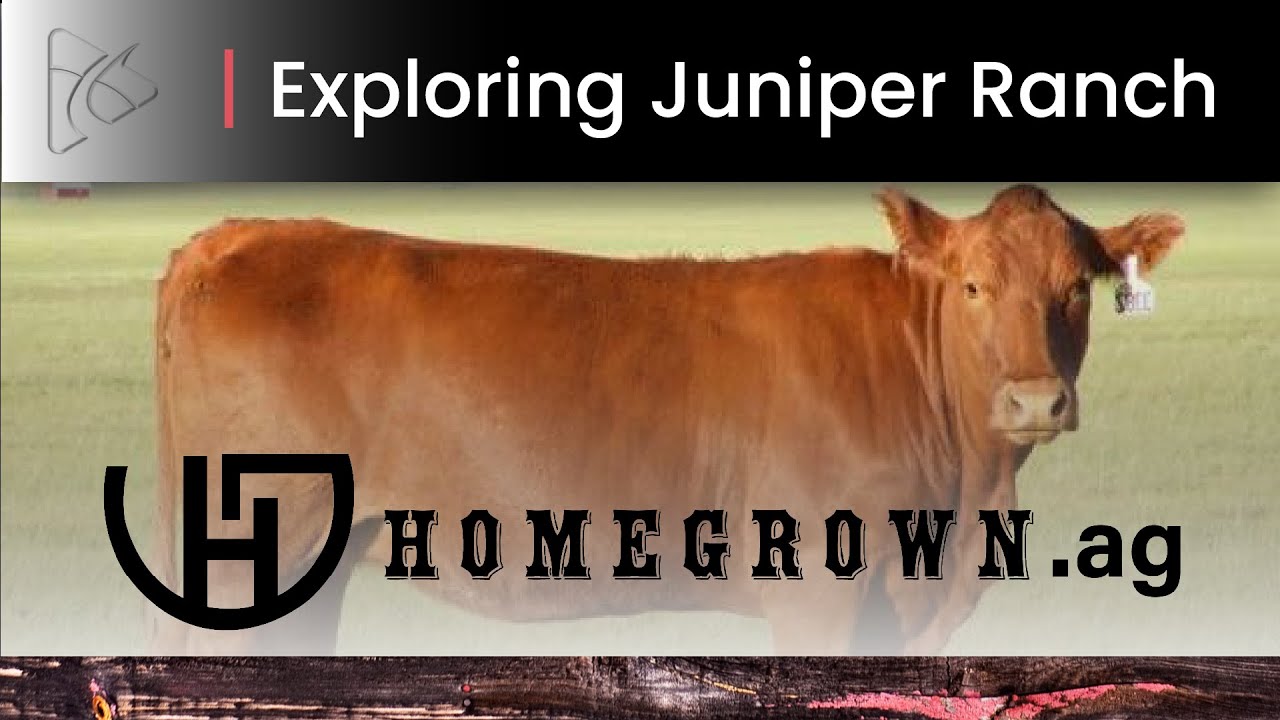 Homegrown: Exploring the Juniper Ranch (S2, E3) - YouTube