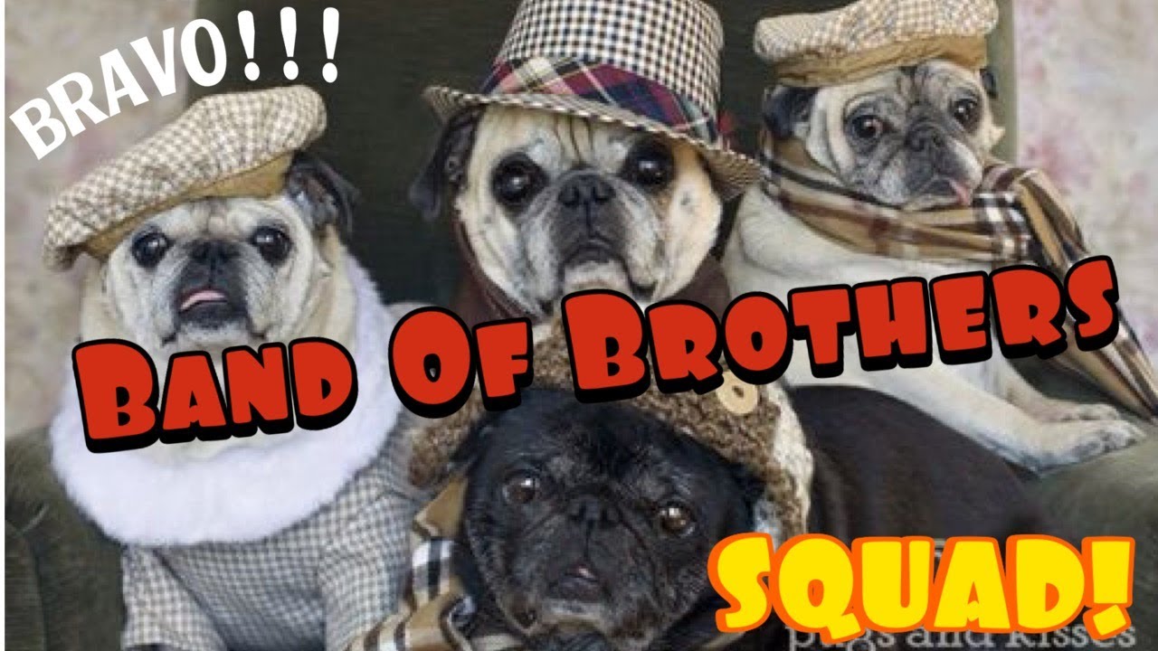 Pug Team 4 - YouTube
