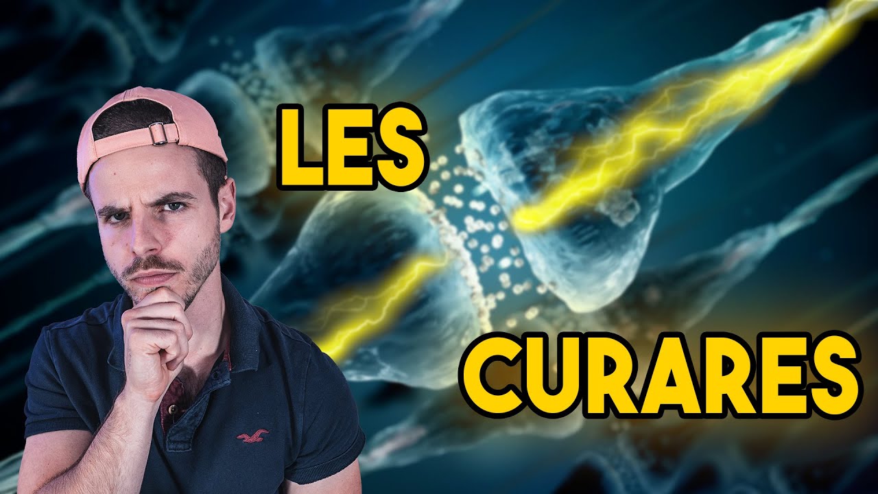 LES CURARES - YouTube