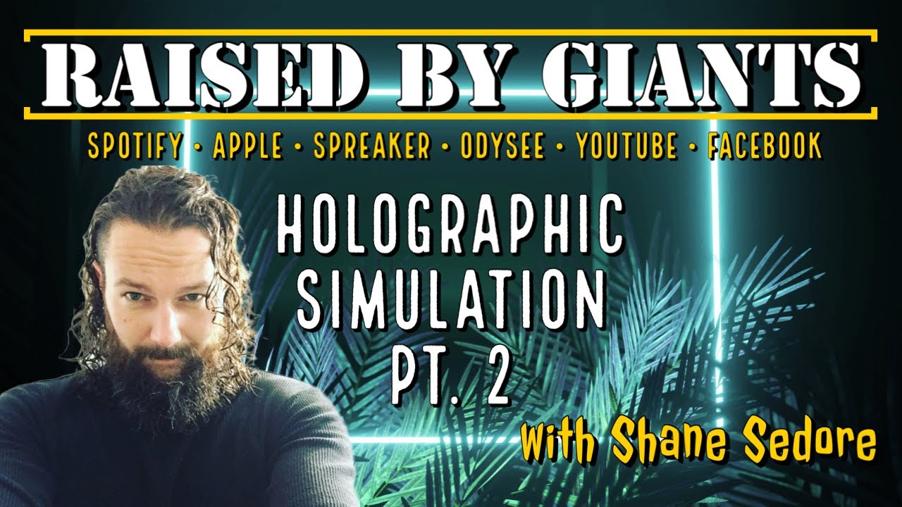 Holographic Simulation Pt.2, Community of Propaganda, What Is Space ...