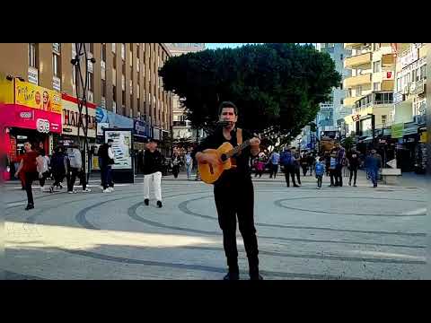 Mızıka & Gitar                                           Gesi Bağları