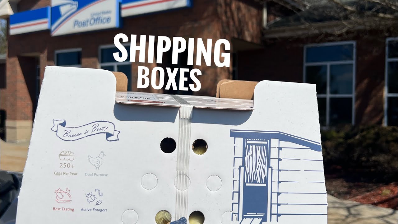 Chick shipping boxes - YouTube