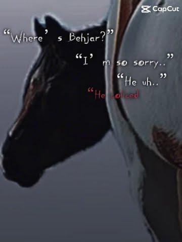 Rip #horse #equestrain - YouTube