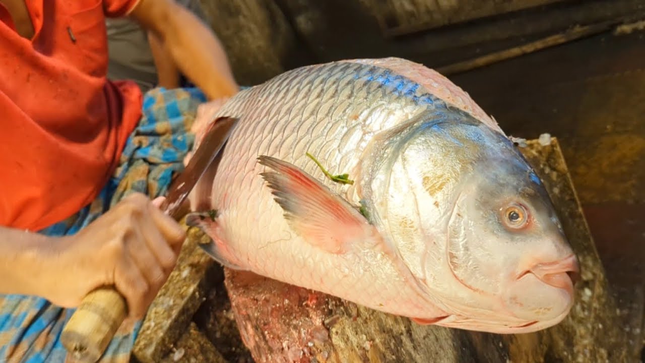 Amazing Giant Catla Carp Fish Cutting & Skinning Skills In Bangladesh ...