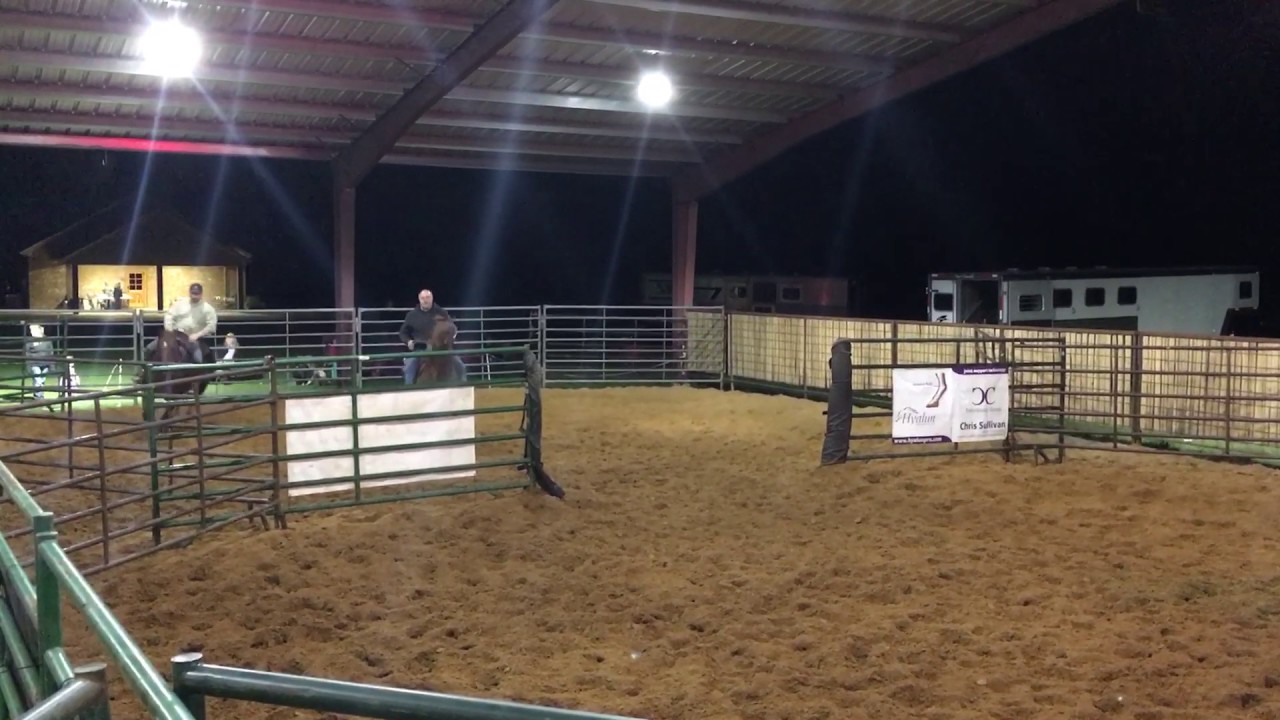 2 Man Ranch Sorting @ C&C Performance Horse Arena - YouTube