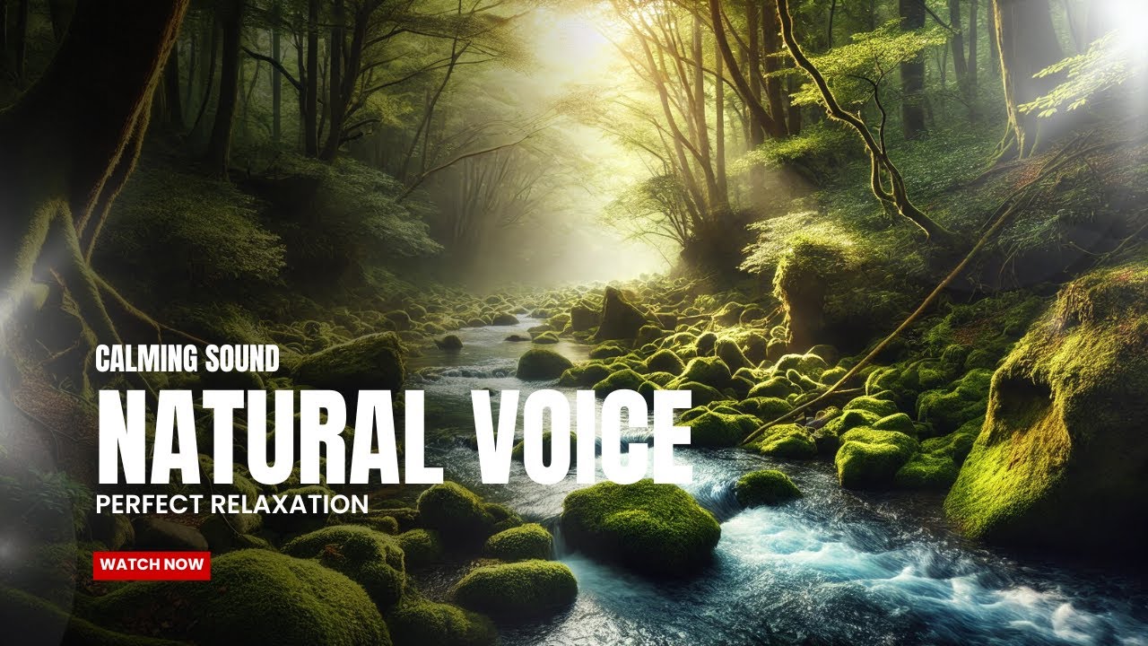 Refresh your mind with soothing nature and water sounds - relaxing ...