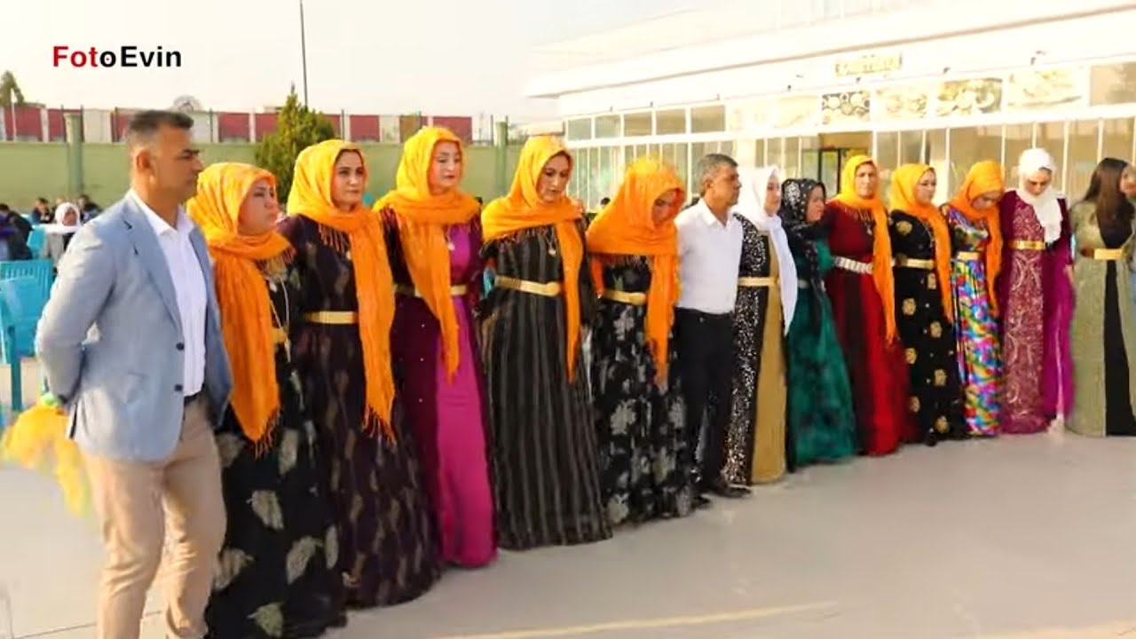 ŞEVKO HALAYI - KOMA WELAT 2022 BERGUHANA AŞİRETİ DÜĞÜNÜ - YouTube