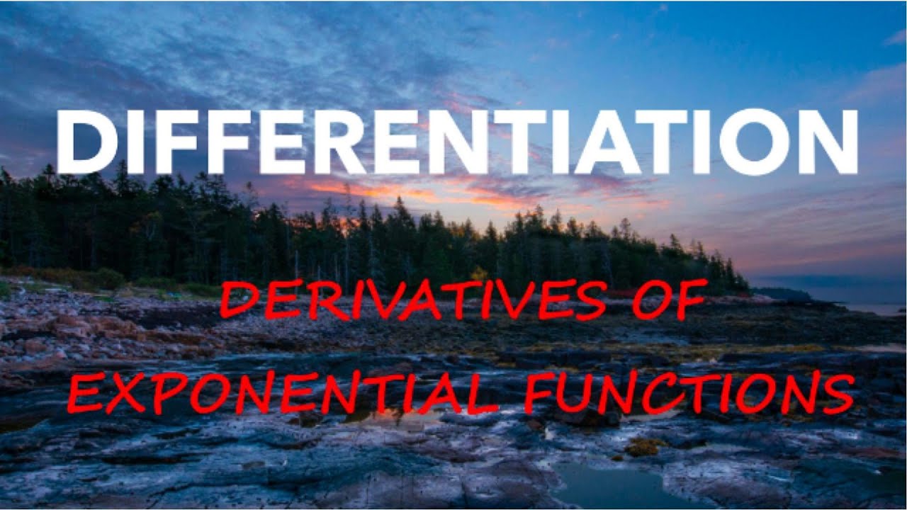 Differentiation | Derivatives Of Exponential Functions | Basic Calculus