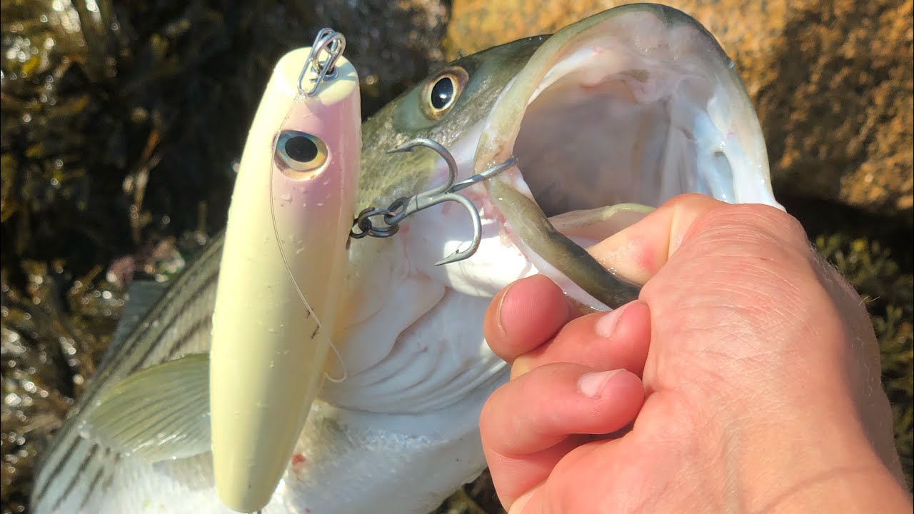 Talking about Spook style plugs. - YouTube