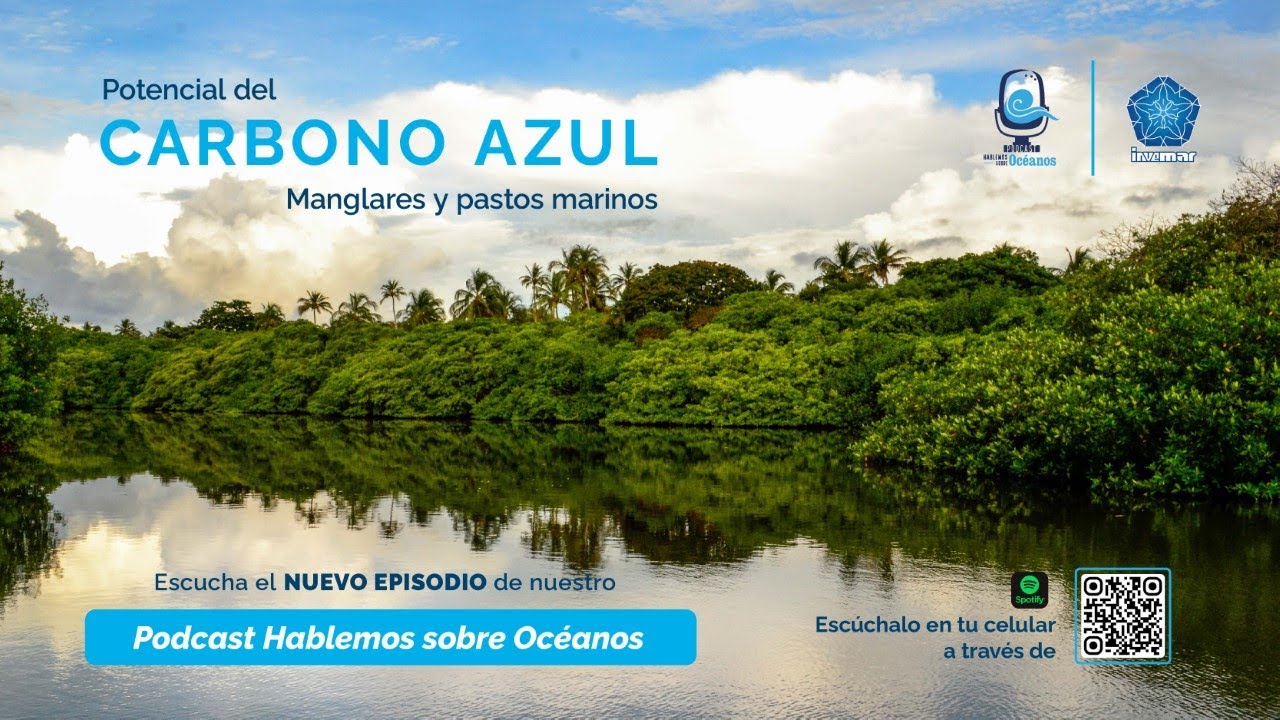 Episodio 3. Potencial del carbono azul. Manglares y pastos marinos ...