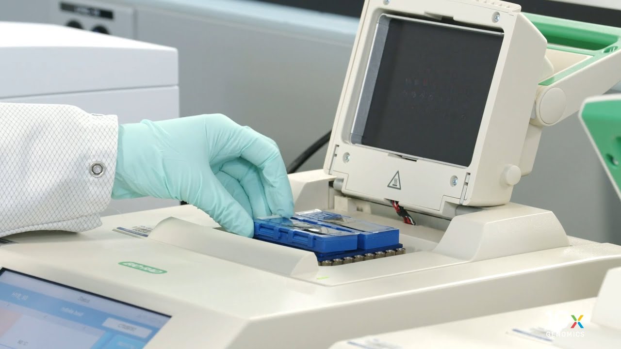 Visium CytAssist User Guide | Probe Ligation - YouTube