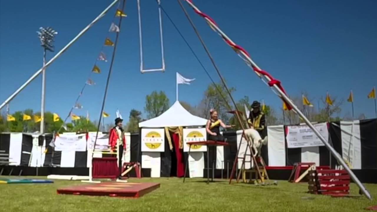 Mabel climbing a ladder for the first time at Circus Stella - YouTube