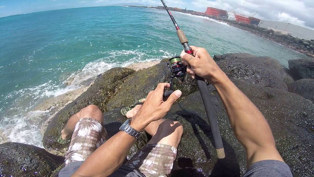 Slipping on rocks to grab Yellowspot papio whipping at Kakaako - YouTube