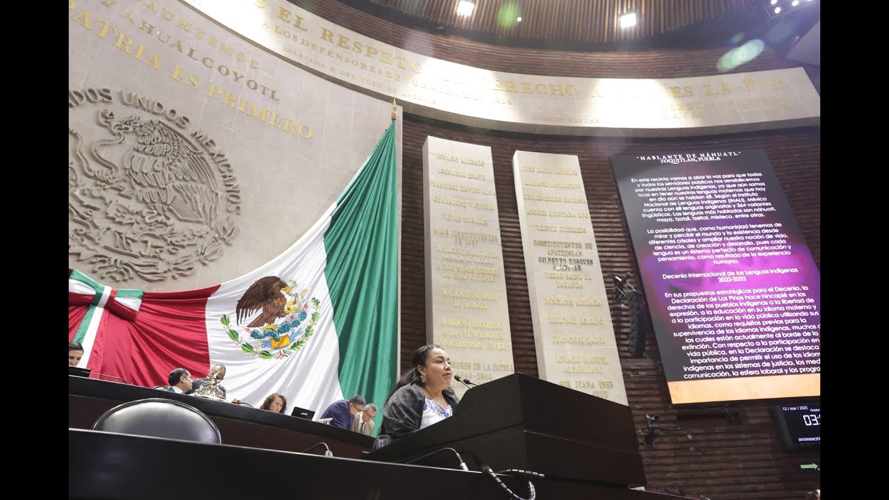 Minerva Sánchez Alva, hablante de lengua Náhuatl / Las Lenguas Toman la ...