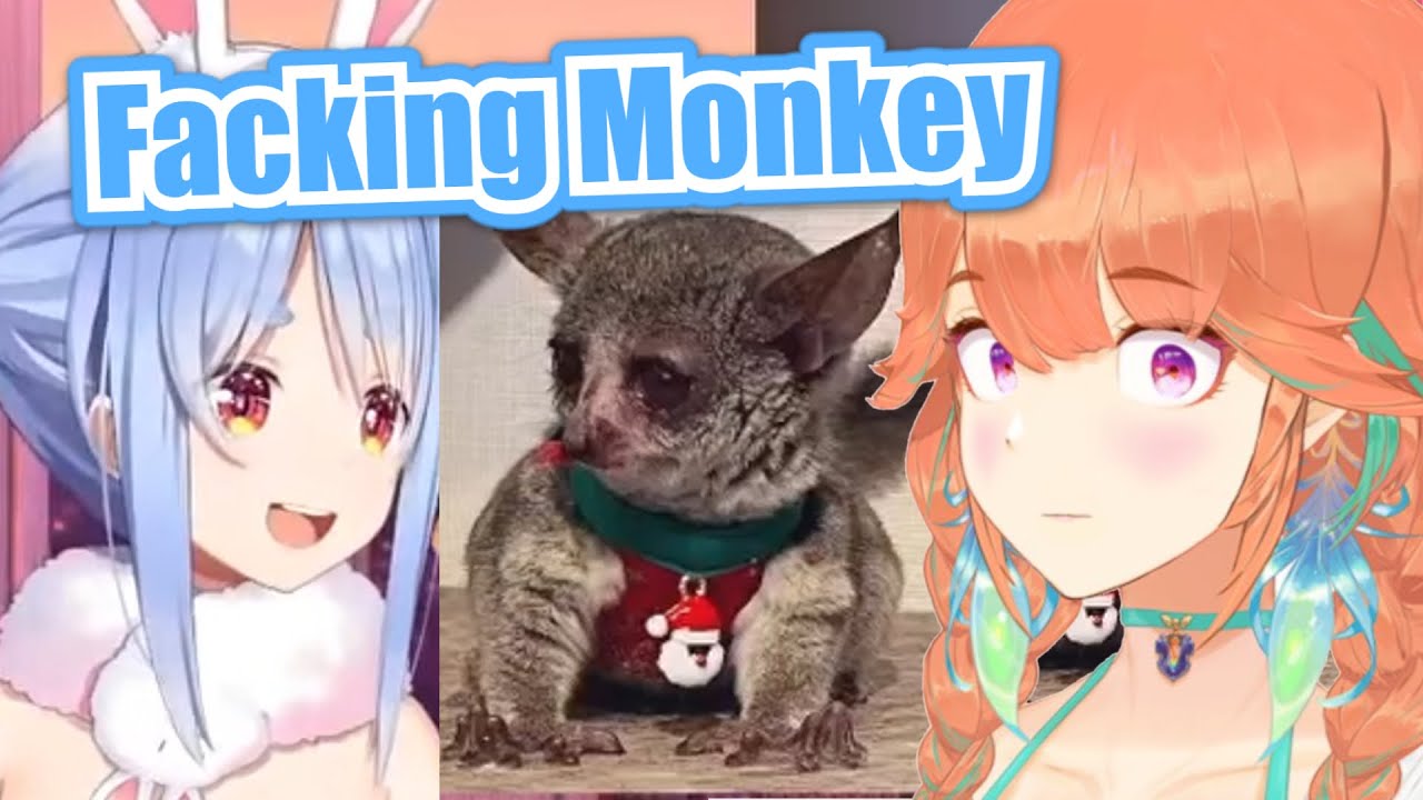 Kiara Asks Pekora About Her Pet Monkey - YouTube