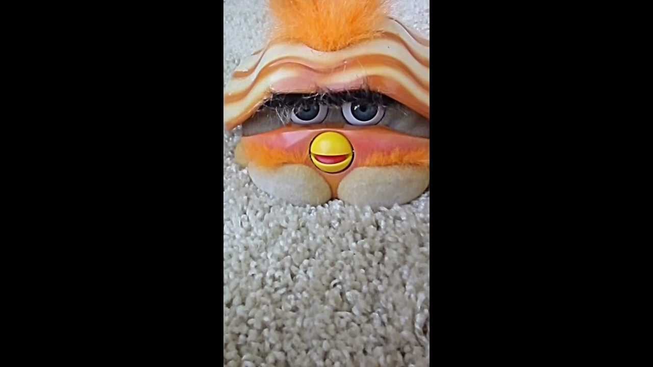 Furby Friend Shelby Orange and Creme Striped Clam Interactive Talking ...