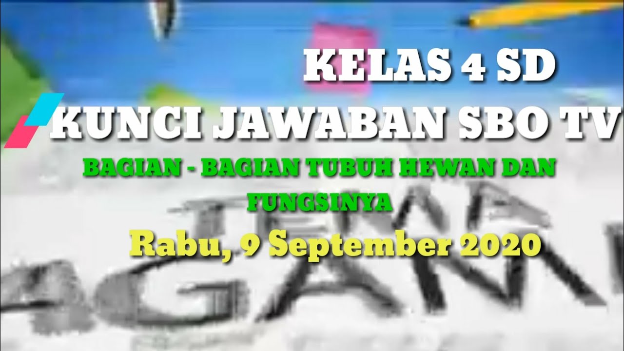 Kunci Jawaban SBO TV Kelas 4 SD Hari ini Selasa 7 September 2020 - YouTube