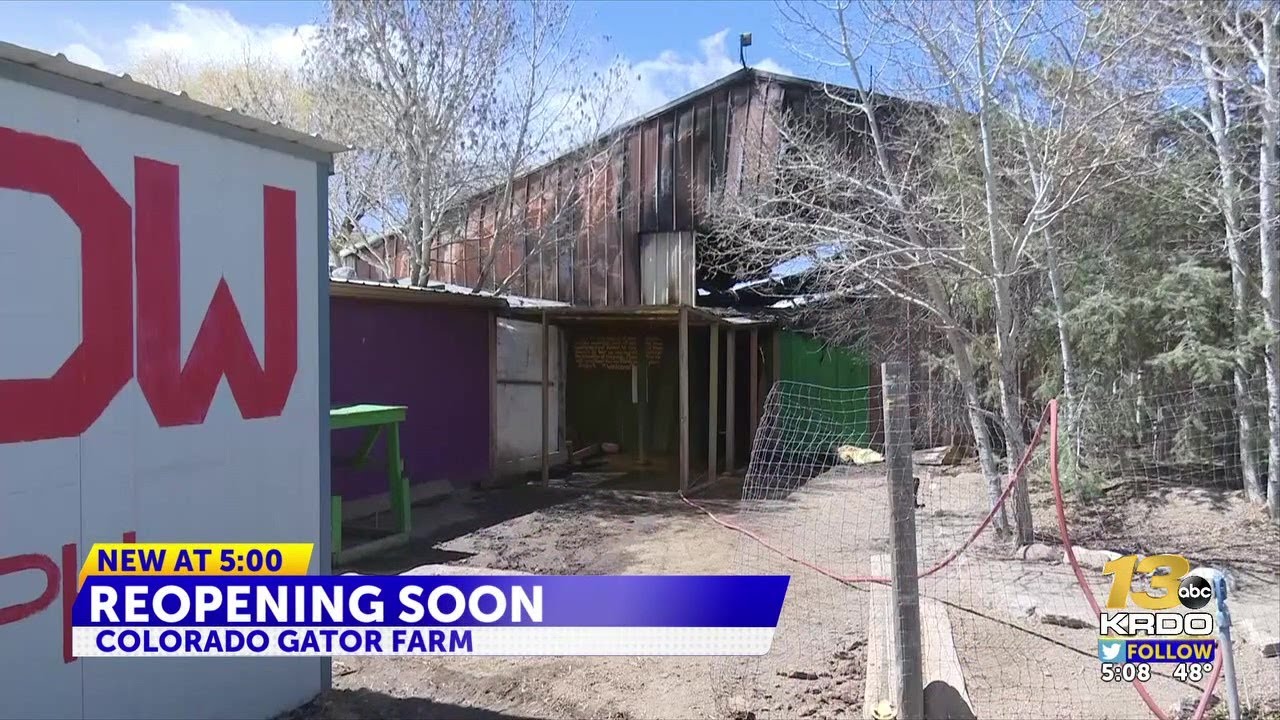 Colorado Gator Farm plans to reopen May 1 after devastating fire ...