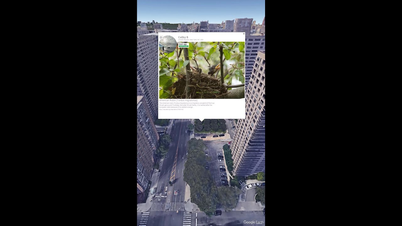 Used to Be My Home Too, real-time cartography, endless, Marc Lee - YouTube