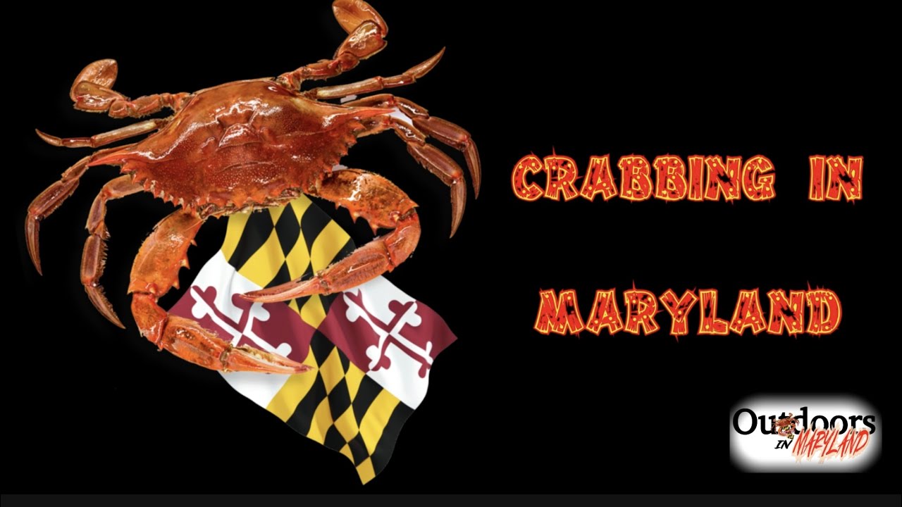 A Great Day Of Crabbing/ showing you how to use a handline for crabs ...