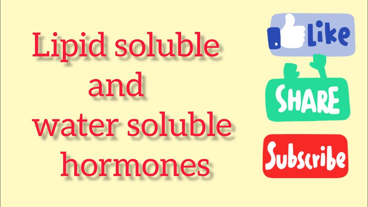 lipids and water soluble hormones#anatomy - YouTube