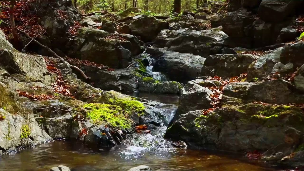 Beautiful babbling brook : speacceful stream flowing and birds noise ...