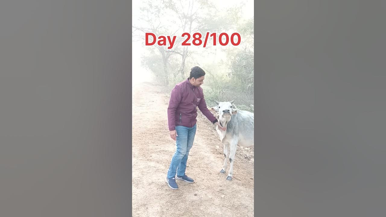 Day 28/100 Challenge #viral #shorts #day28 #ytshorts #sanatanichallenge # ...