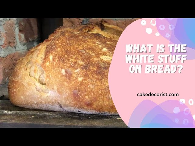 White Bread Mold Premium Photo | One Slice Of White Bread With Mold