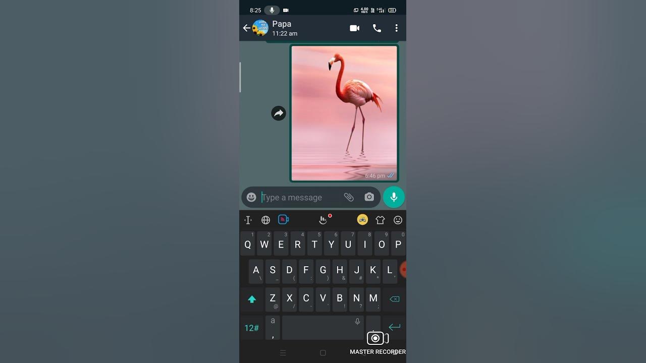 How To Change Whatsapp Typing Language YouTube how-to-change-whatsapp-typing-language-youtube