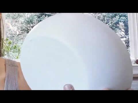 W&P Porter Plastic Bowl Lunch Container, Food Storage, Bento Box, Meal ...