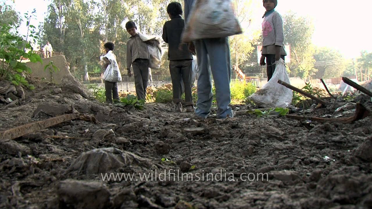 Down in the trash: Child rag pickers in Delhi - YouTube