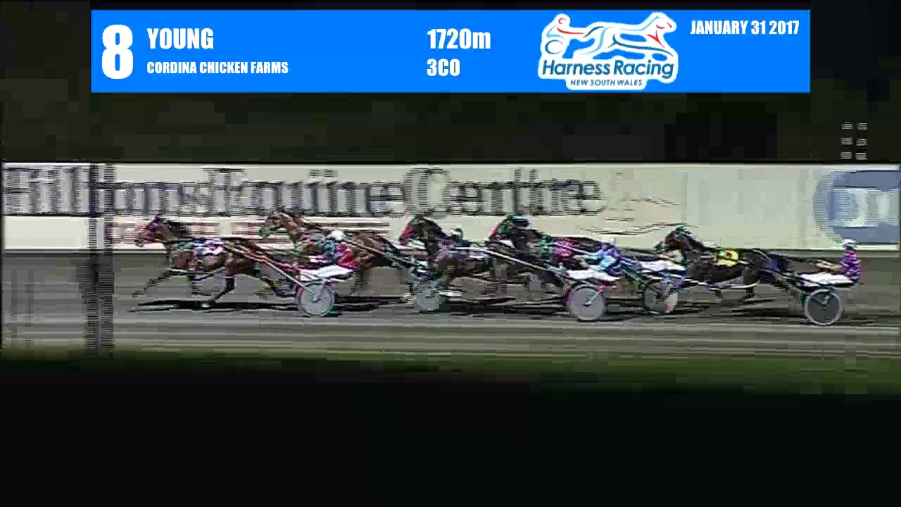 YOUNG - 31/01/2017 - Race 8 - CORDINA CHICKEN FARMS THREE YEAR OLD PACE ...