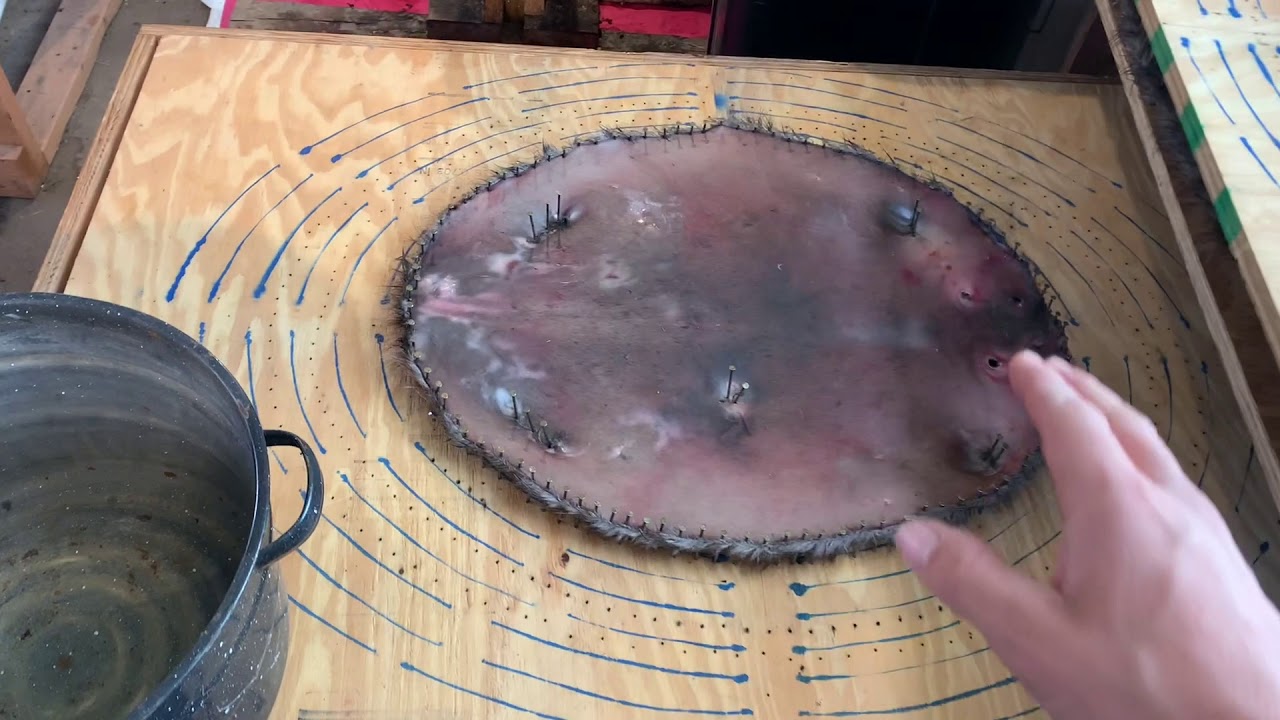 What an Elite Fur Shed Looks Like - YouTube