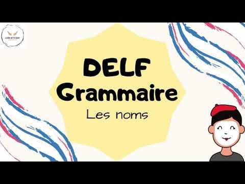 Les noms(nouns) in French-Plural of nouns in French- DELF Grammar- DELF ...