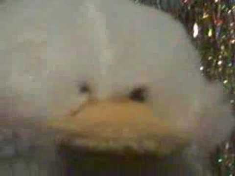 Webkinz Duck Jokes - YouTube