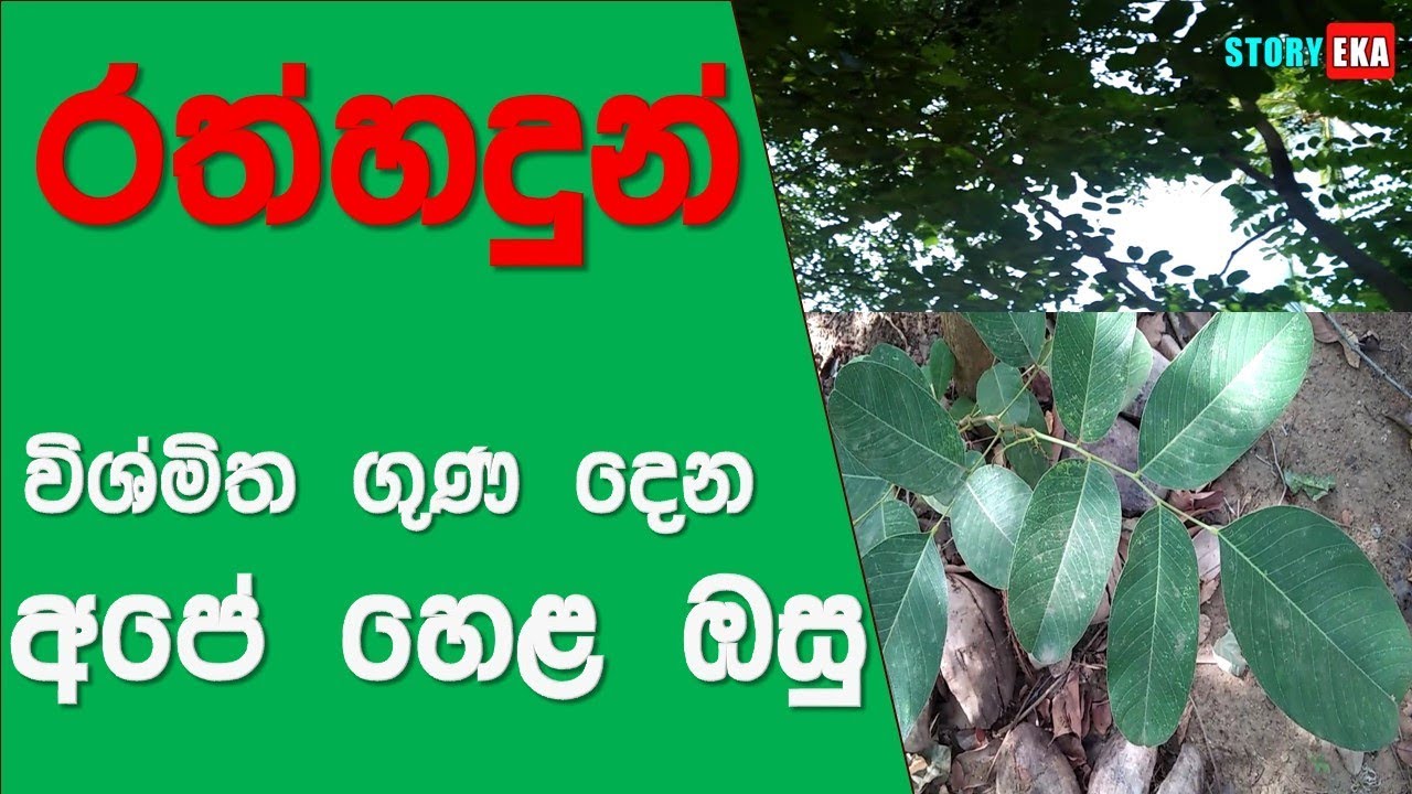 ලස්සන වෙන්න රත්හදුන් | Rathhadun Sinhala | Story Eka - YouTube