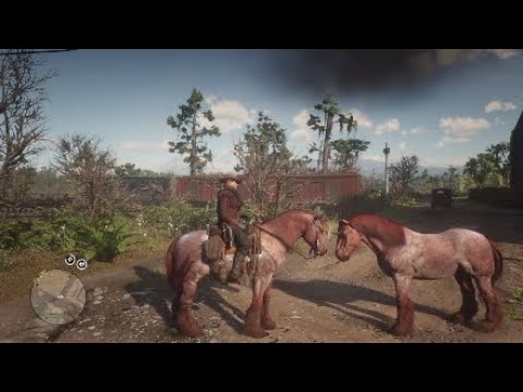 Red Dead Redemption 2 Horseman 6 Arthur With The Male Strawberry Roan ...