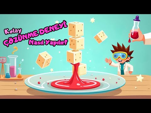 Çözünme deneyi | Okul Öncesi Deneyleri