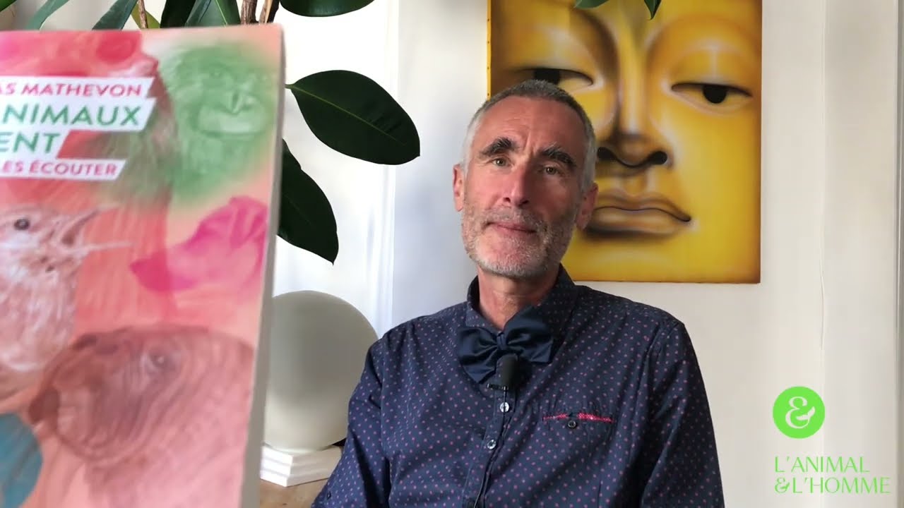 Interview 6 de Nicolas Mathevon : Infrasons, ultrasons, vibrations… les ...