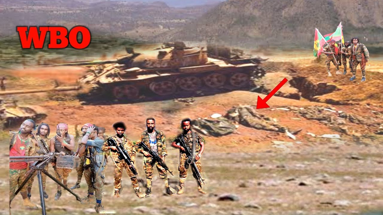 ODUU Hatattama WBO'n waraana bilxiginnaa hedduu barbadeyse jira|Moha ...