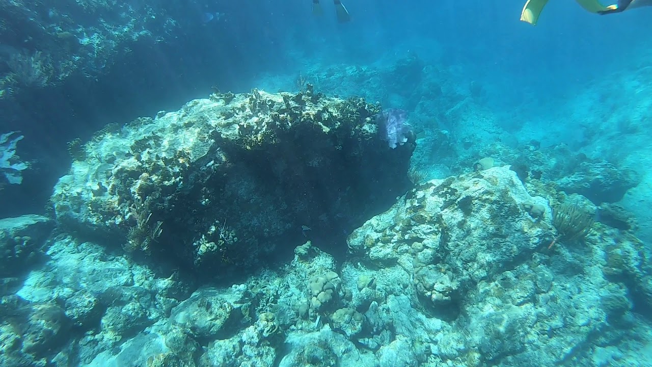 British Virgin Islands - Snorkeling on Norman's Island, BVI, March 2019 ...