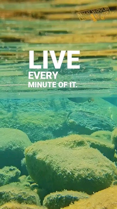 1️⃣% Are You Living Every Minute Of It⁉️🛶 How Are You Gonna Live Your ...