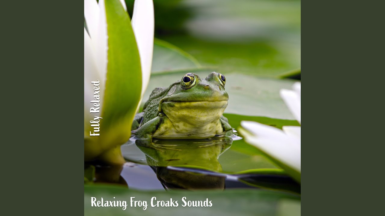 Relaxing Frog Croaks Sounds, Pt. 20 - YouTube