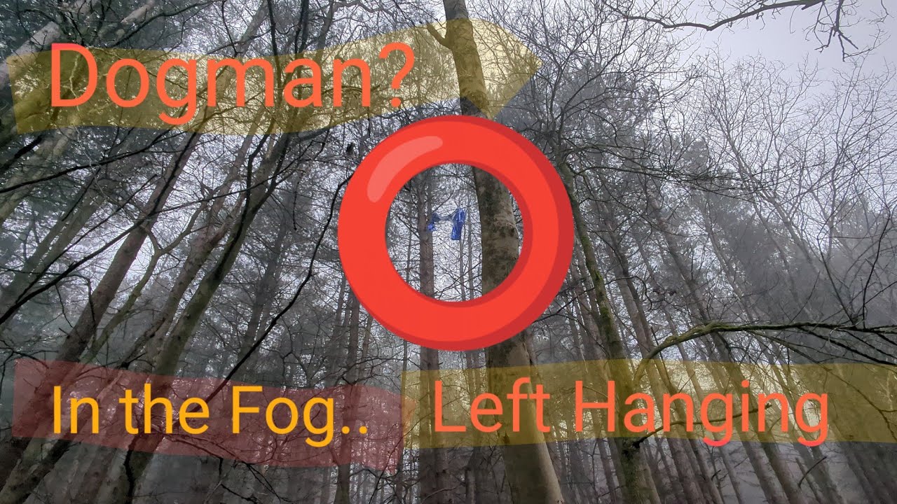 "Unedited: Creepy Woods Encounter - Dogman? and Strange Happenings ...