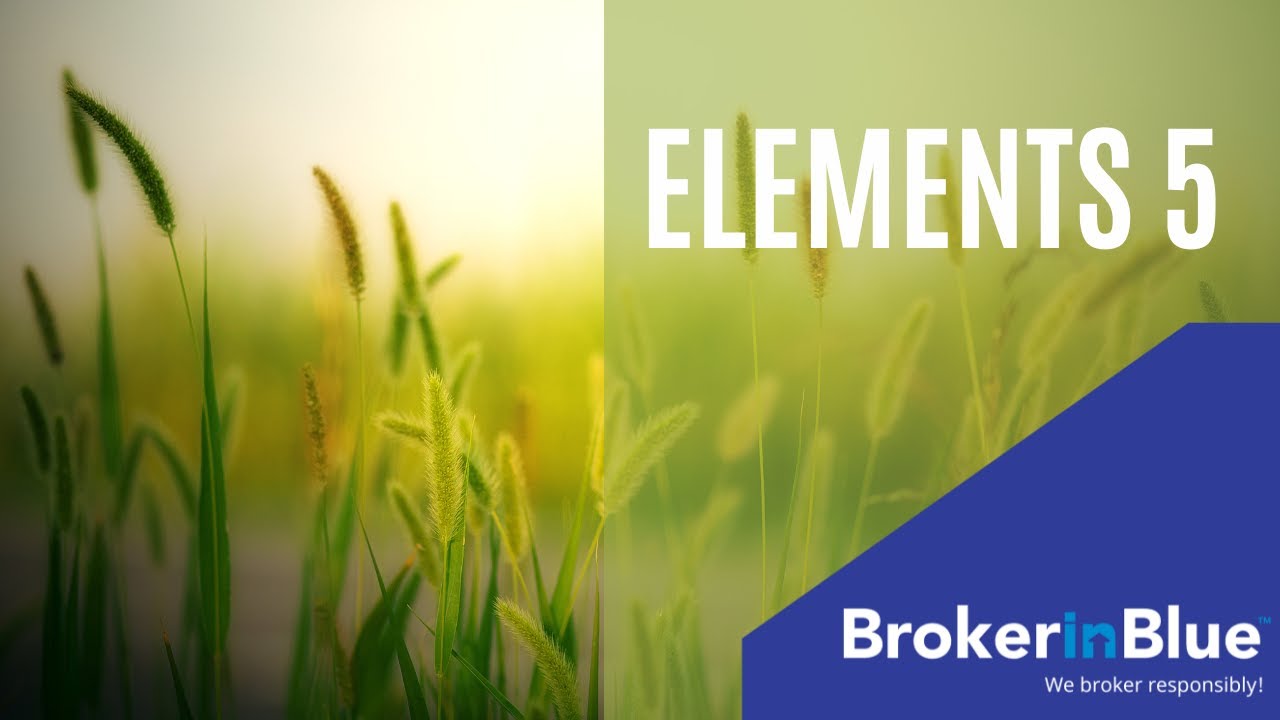 WHY did Ar. Neelam Manjunath come up with Elements-5 Project in North ...