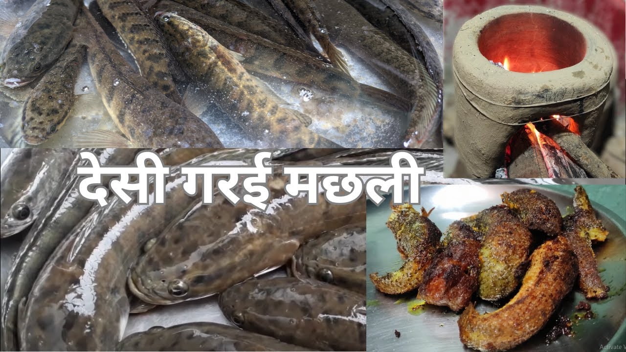 गरई मछली कैसे बनता है /Garai Machhali Recipe /Gare Fish /छोटी मछली ...