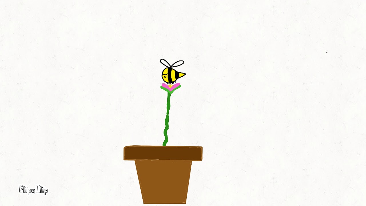 Buzz buzz plant growth animation - YouTube